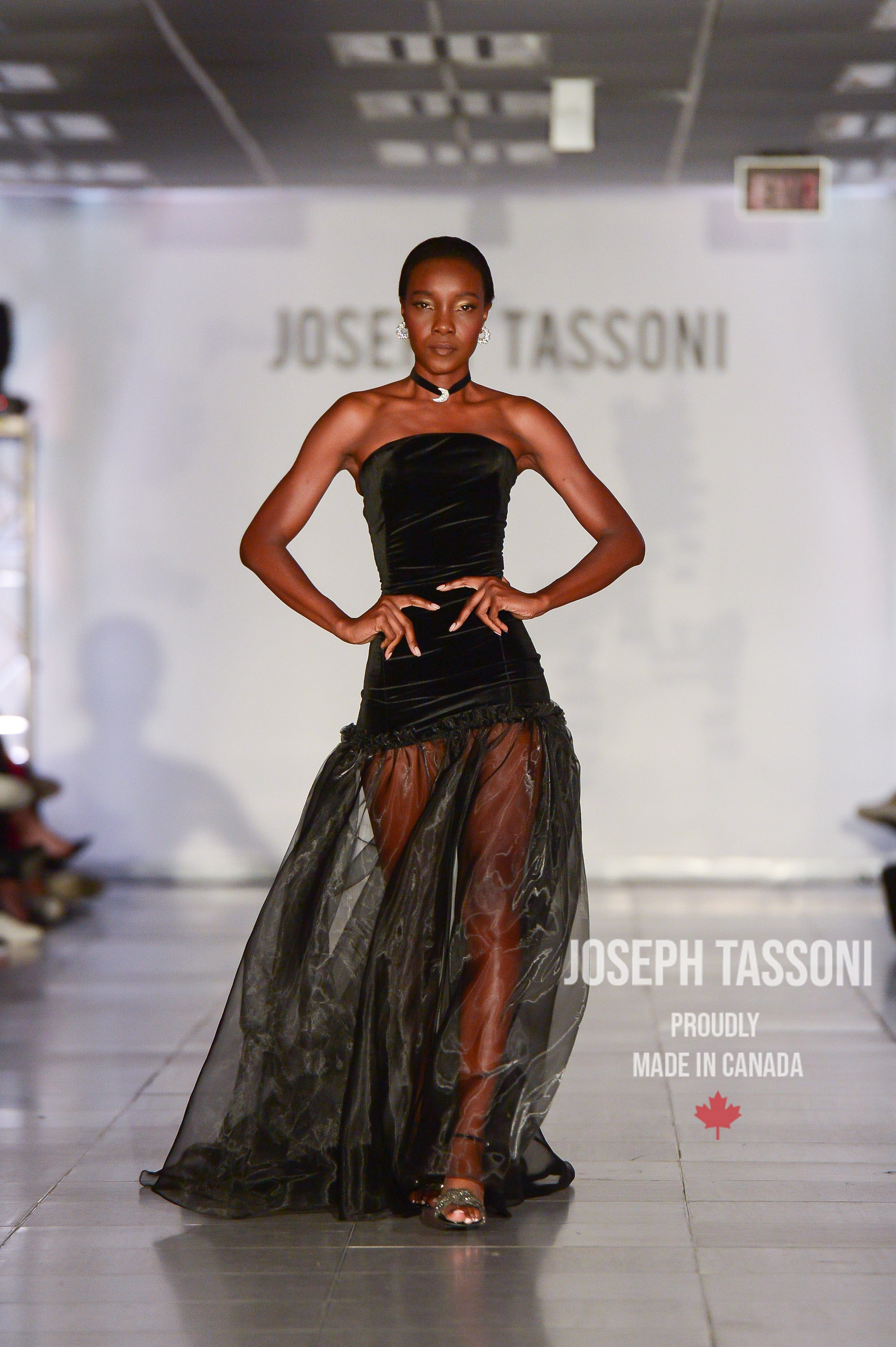 Joseph Tassoni Gala Gown: Silk Velvet & Organza Elegance